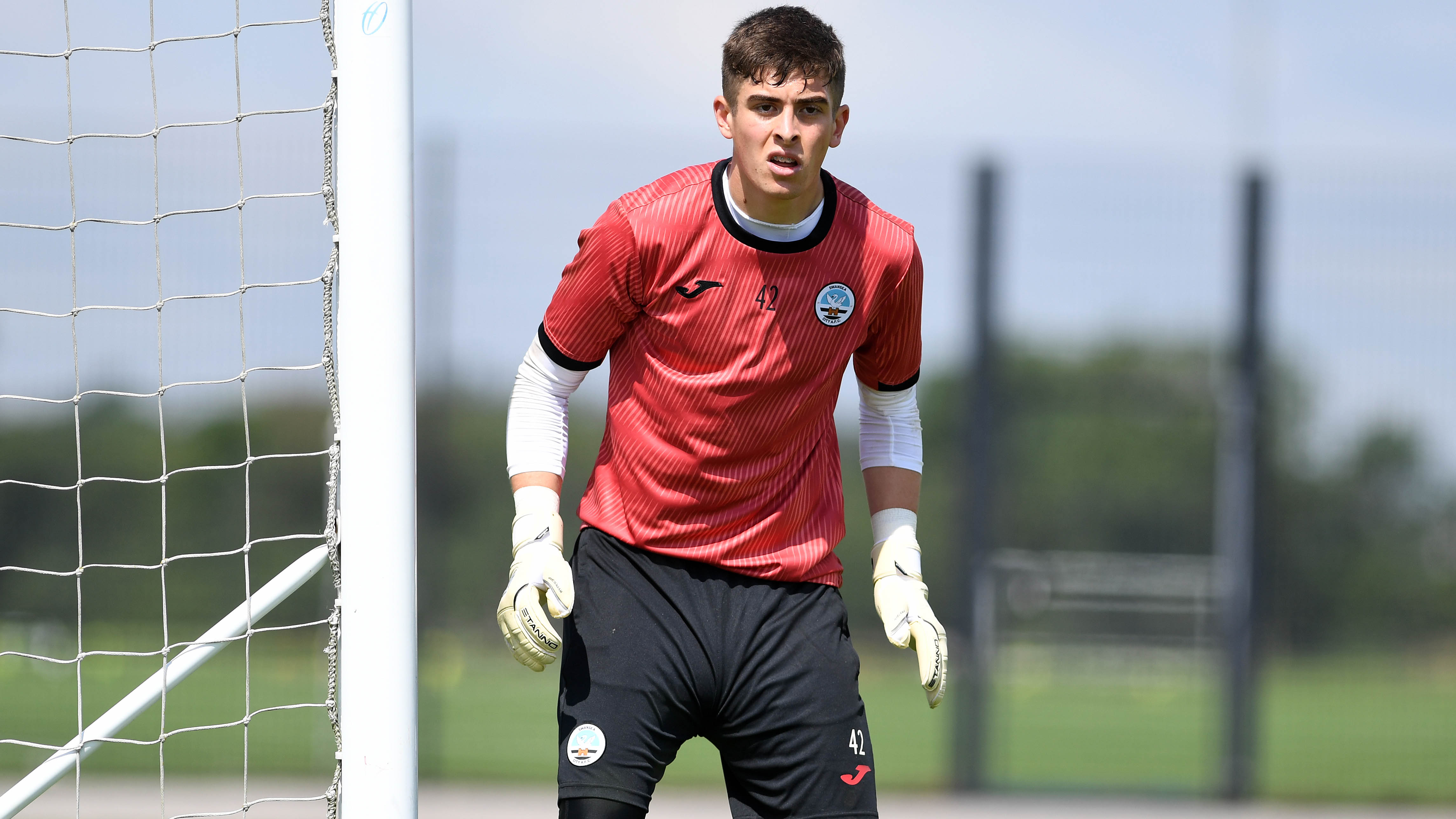 Lewis Webb completes loan move to Shelbourne | Swansea