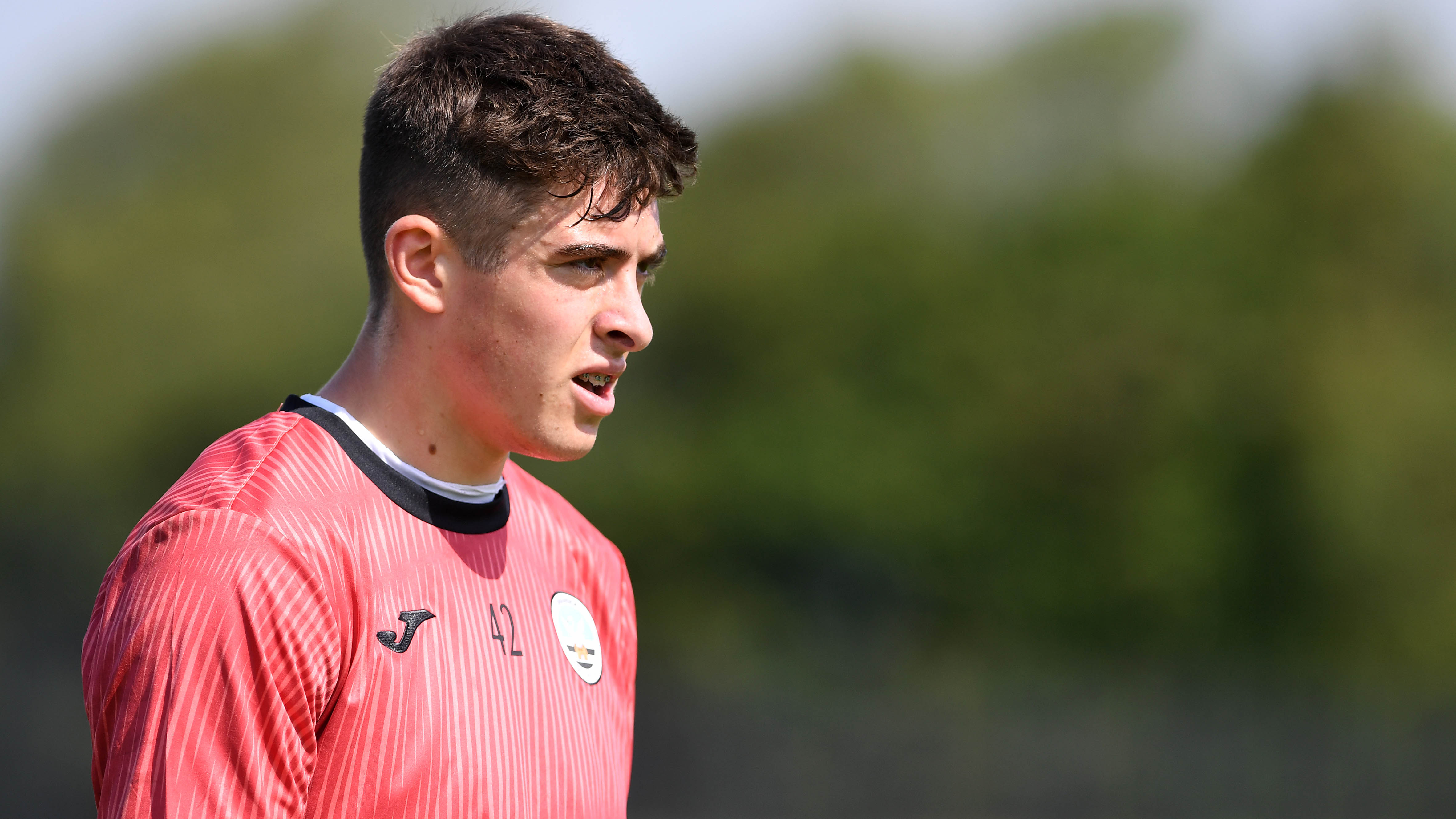 Lewis Webb | Swansea