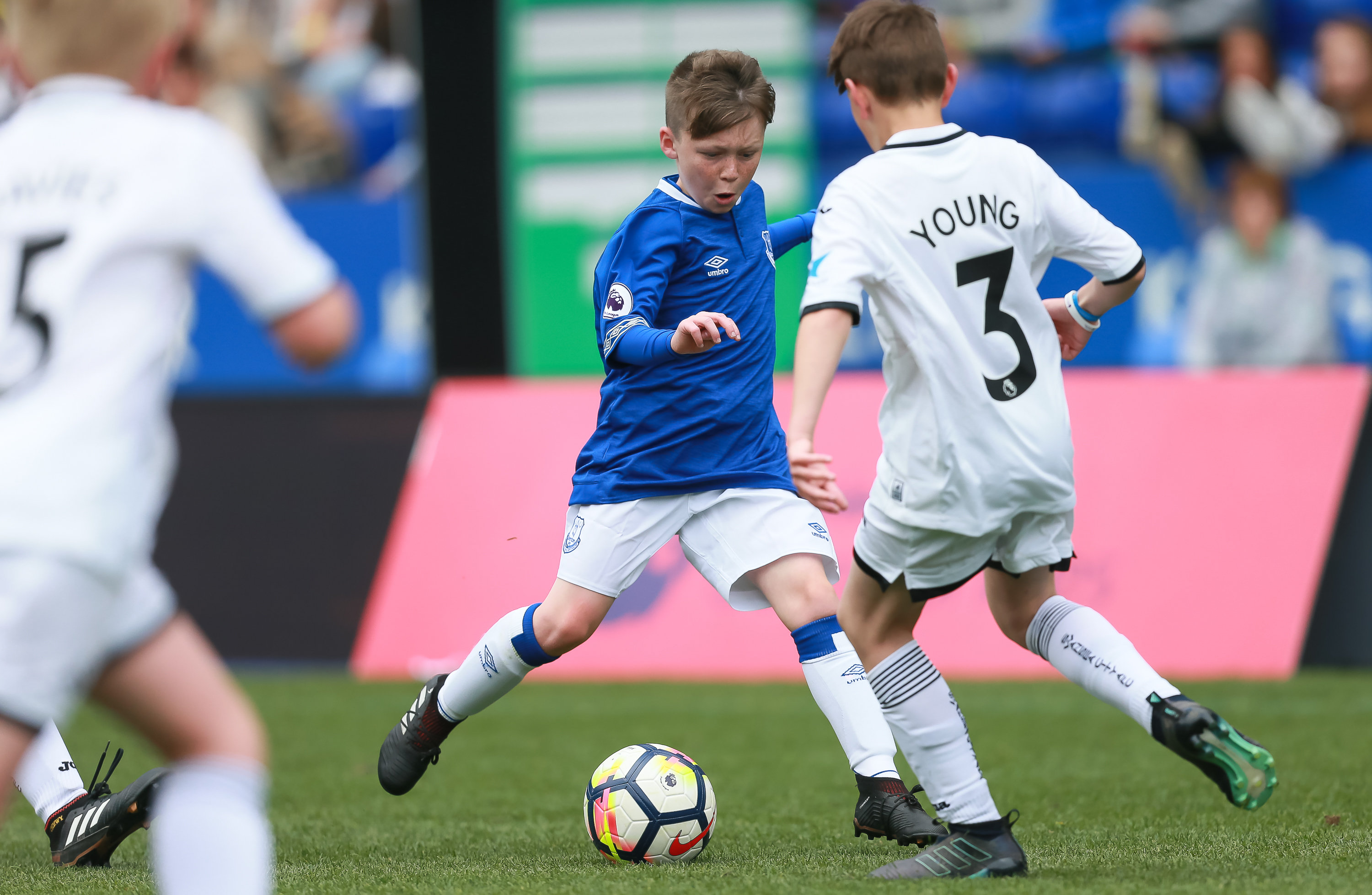 PL Primary Stars (5).jpg | Swansea