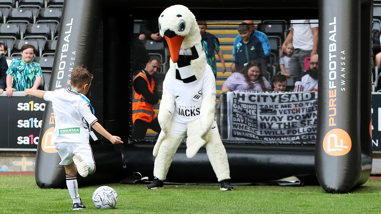 Cyril the Swans in goal | Swansea