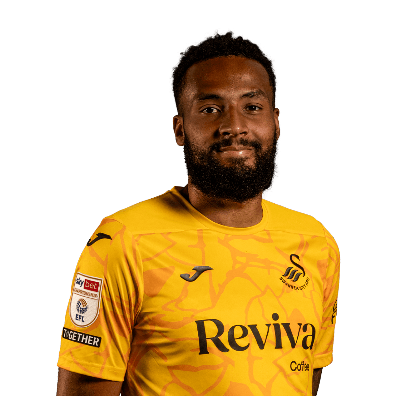 L. Vigouroux | Swansea