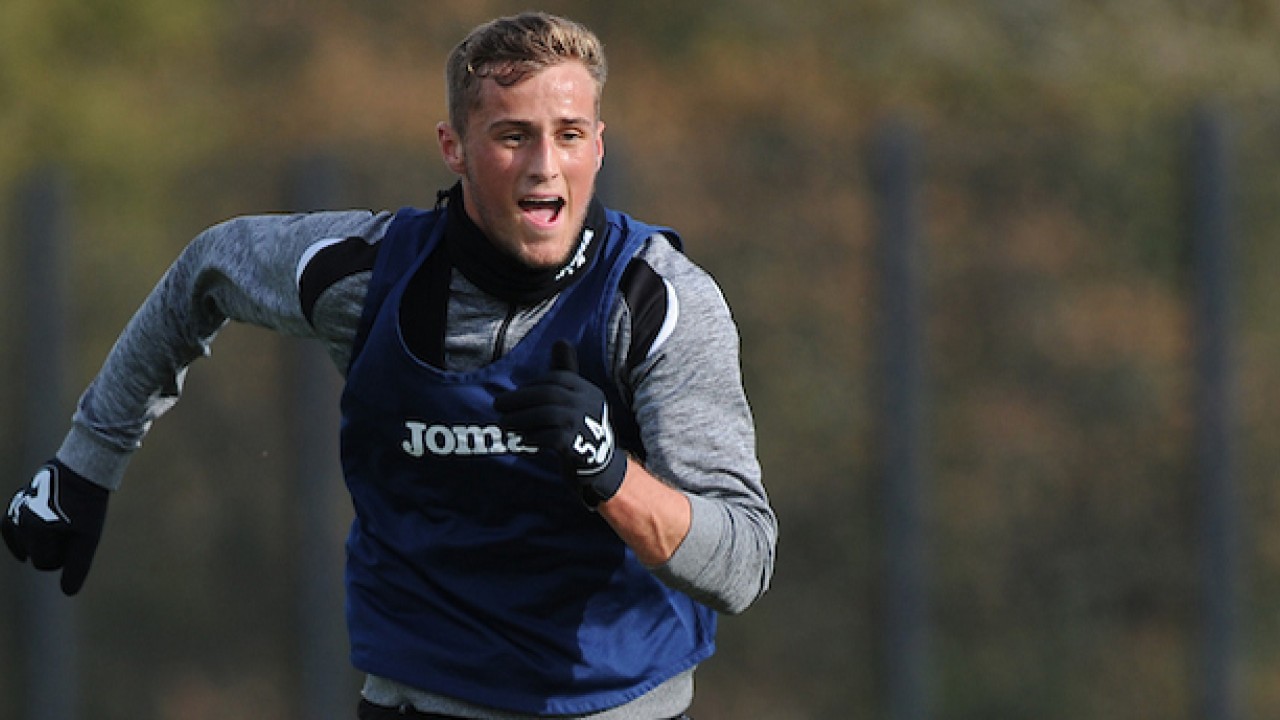Joe Lewis completes Torquay loan move | Swansea
