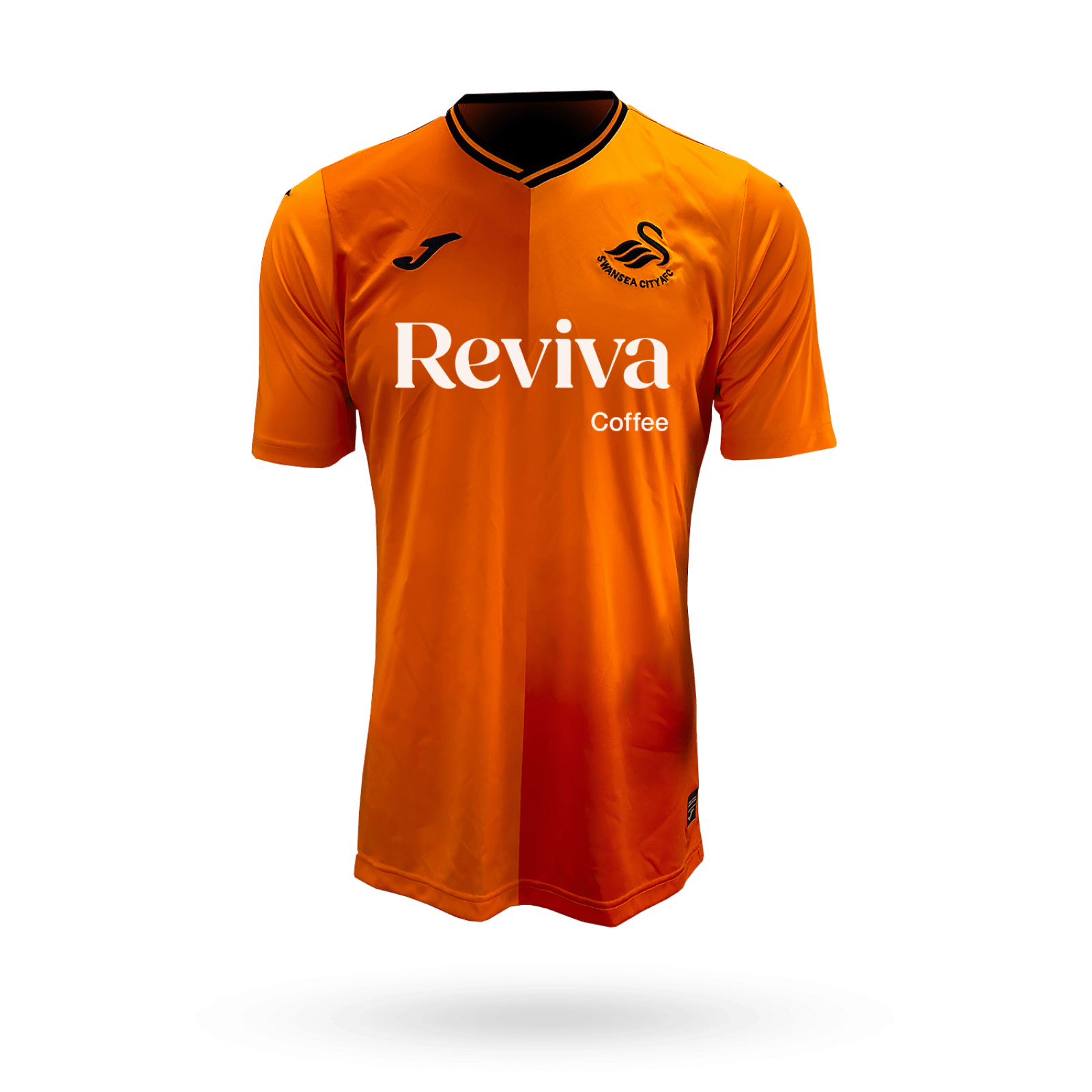 The official Swansea City AFC website | Swansea