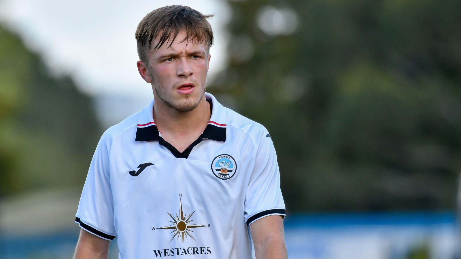 Rohan Davies | Resilience was key to comeback against Watford | Swansea