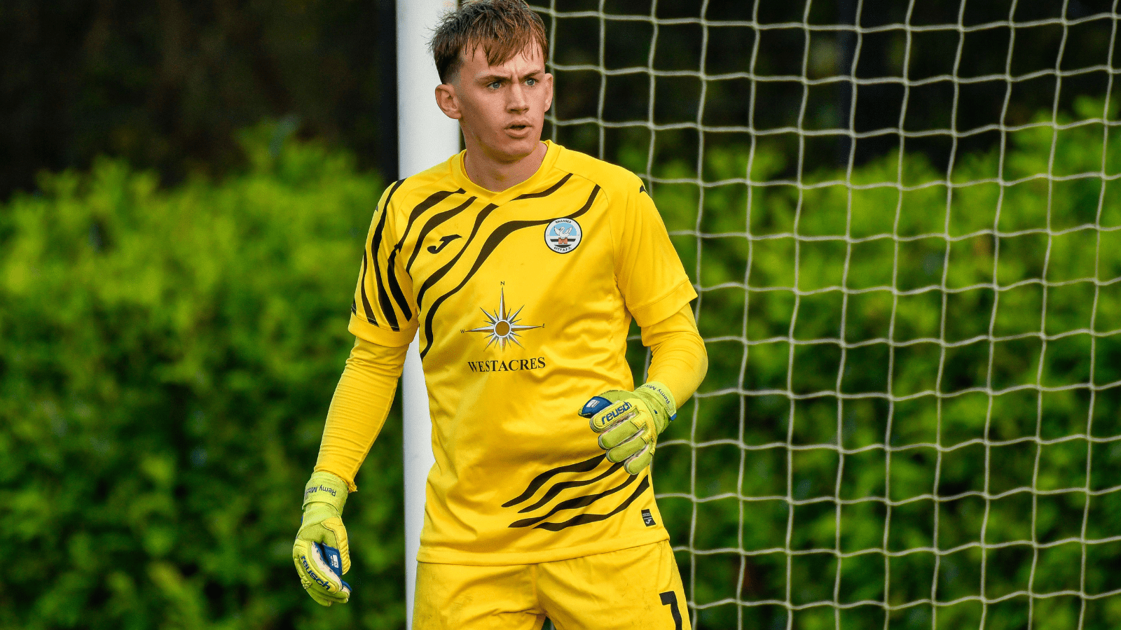 Remy Mitchell relishing breakthrough season with Under-21s | Swansea