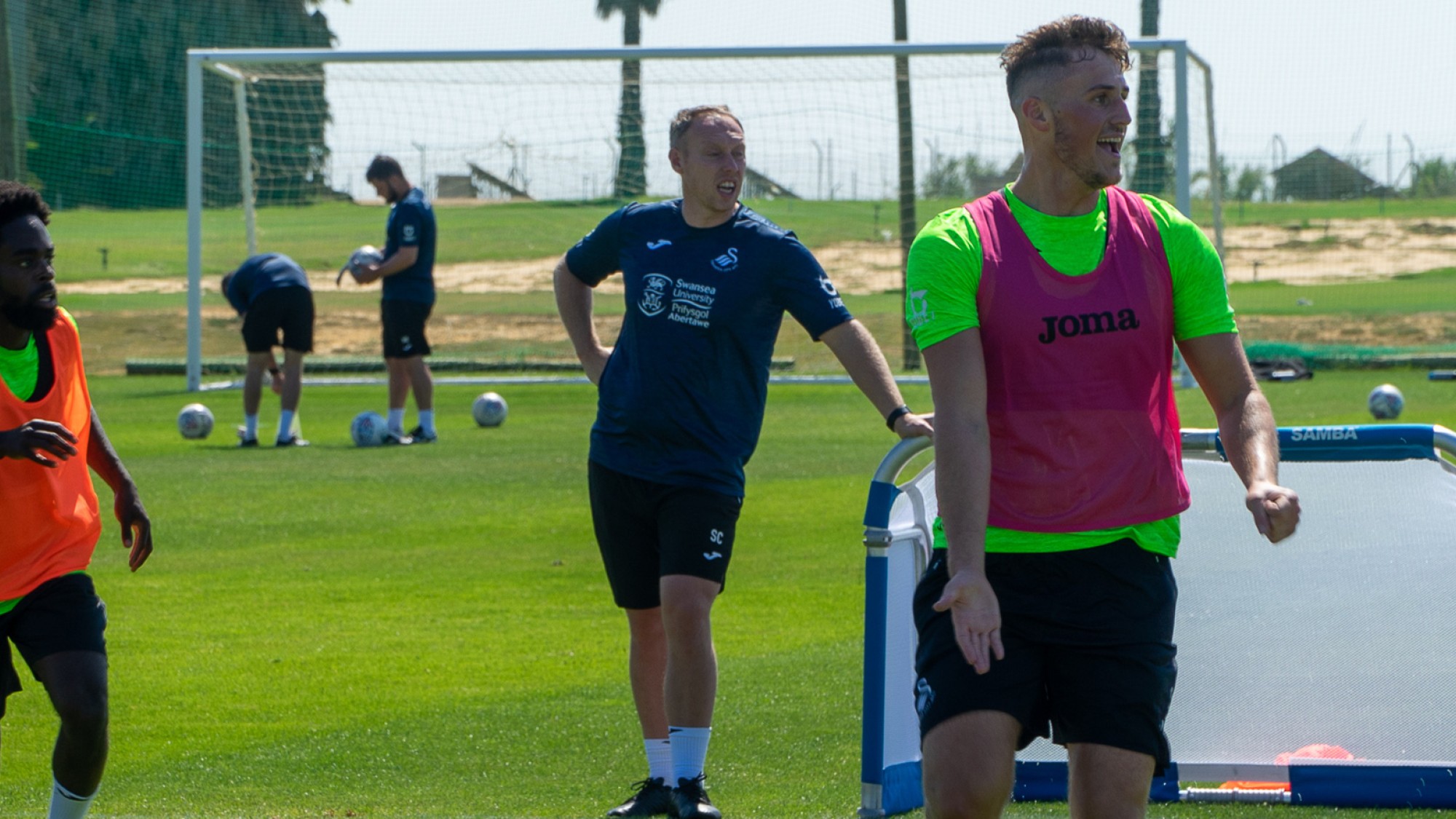 Joe Lewis completes Torquay loan move | Swansea