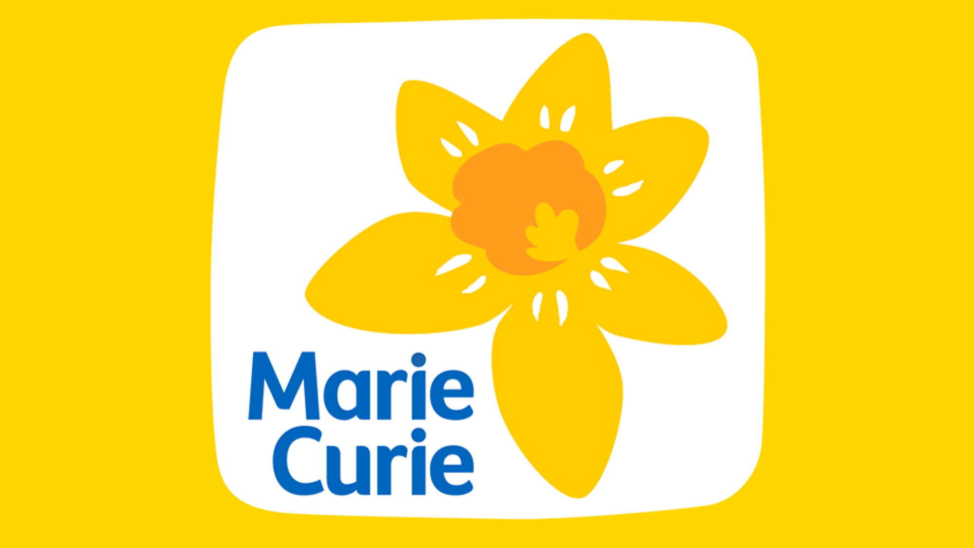 Charity Focus | Marie Curie Wales | Swansea