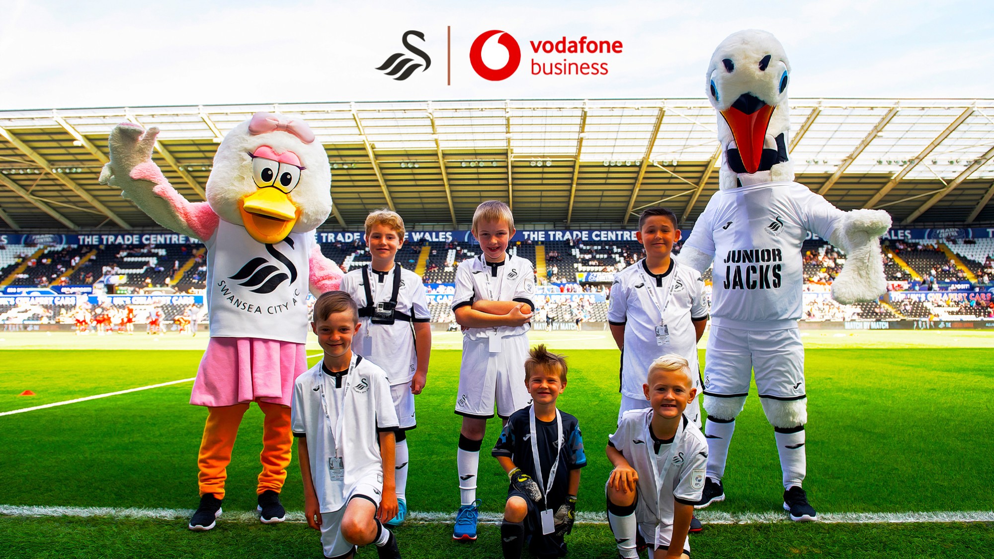 Mascot package prices reduced for upcoming home games | Swansea