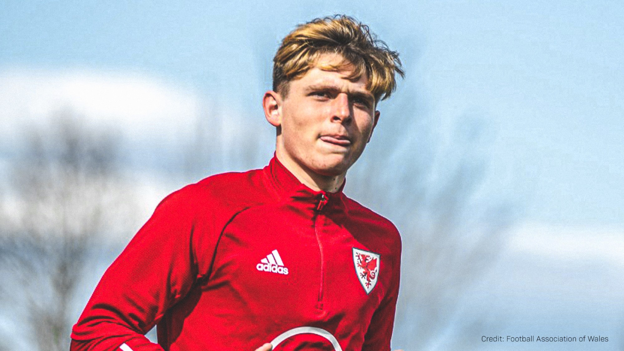 Swansea City sign Fin Stevens on season-long loan | Swansea