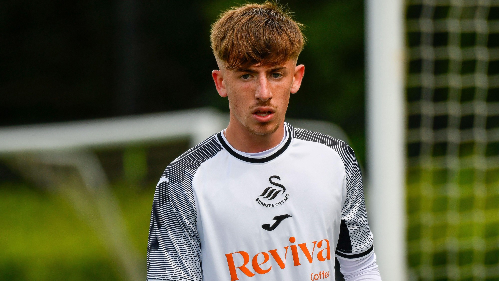 Latest News | Swansea