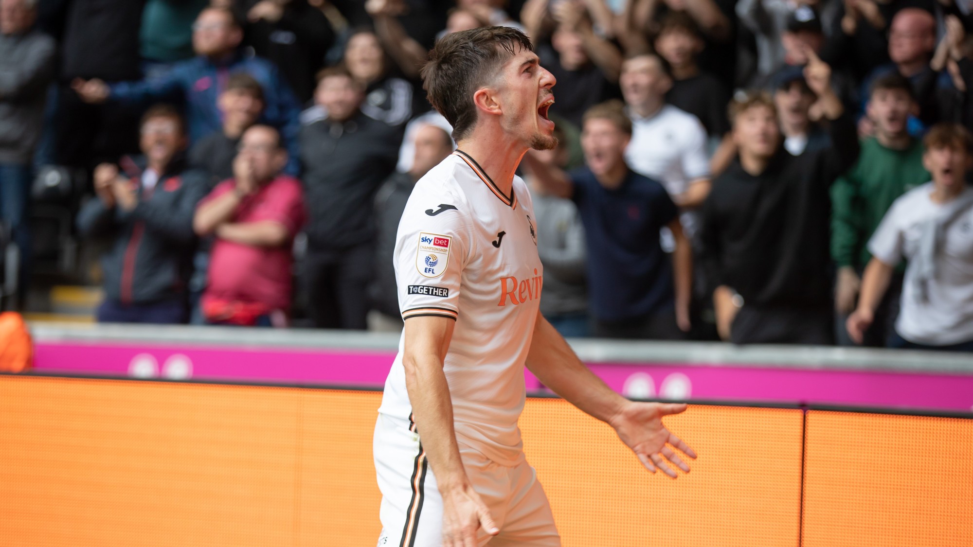 Latest News | Swansea