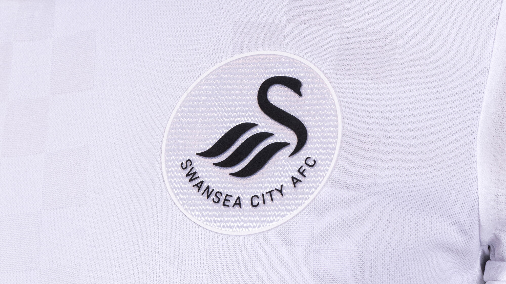 Swansea City receives EFL Green Club Award | Swansea