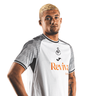 Players | Swansea