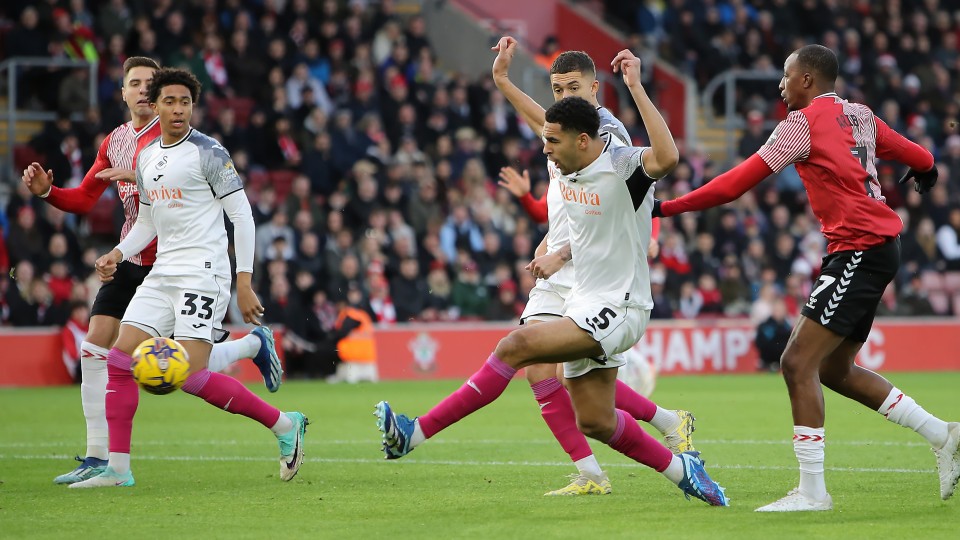Gallery Southampton V Swansea City Swansea