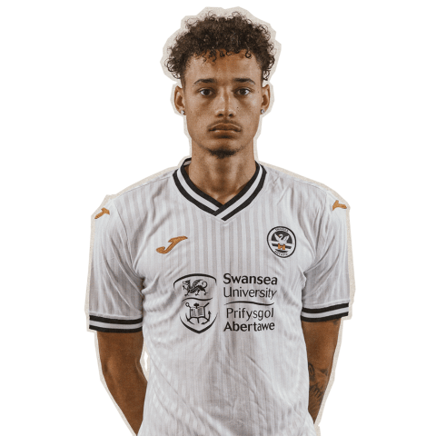 Rhys-Williams.png | Swansea