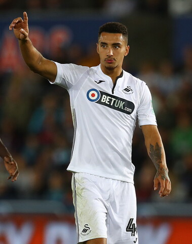 Swansea City v Crystal Palace - 30.jpg | Swansea